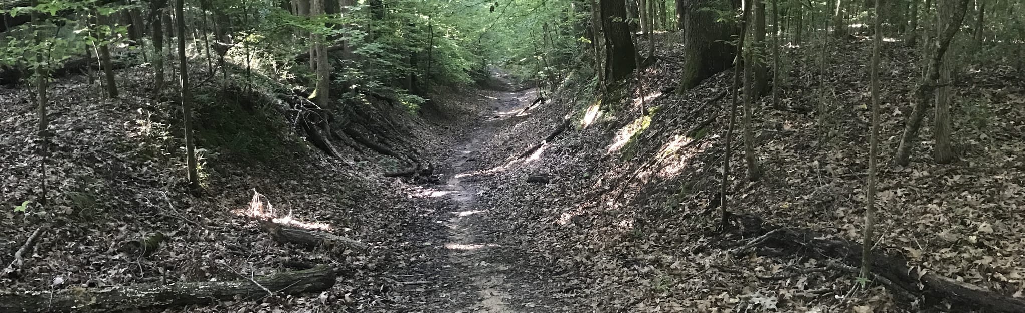 Village Creek and Lake Dunn Big Loop, 81 Fotos - Arkansas | AllTrails