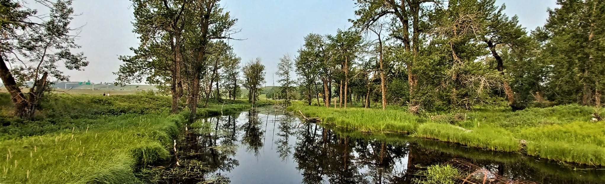 Sikome Lake and Lafarge Meadows Pathway Loop, Alberta, Canada - 79 ...