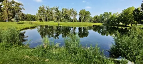 10 Best Forest Trails in Calgary | AllTrails