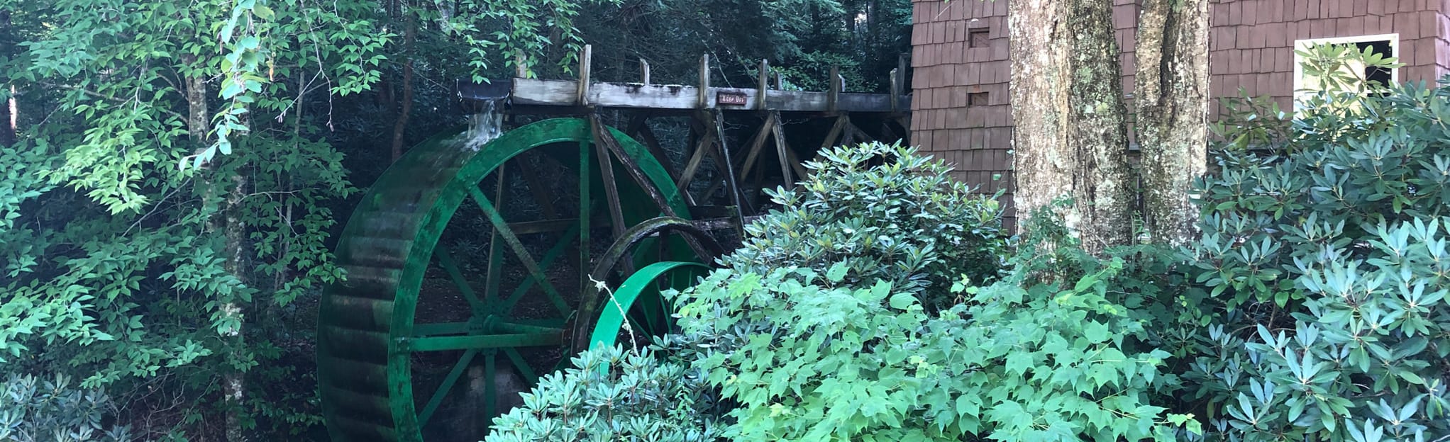 Peg Leg Mine Trail: 47 Reviews, Map - Tennessee | AllTrails