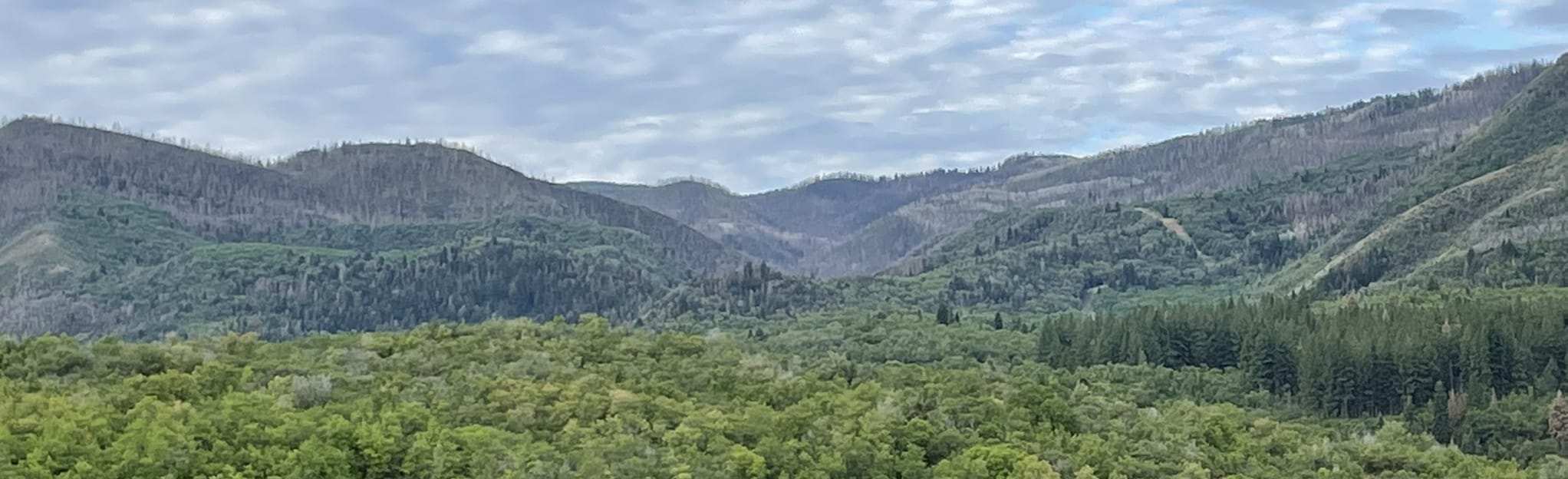 Forebay Recreation Area Loop: 122 Reviews, Map - Utah | AllTrails