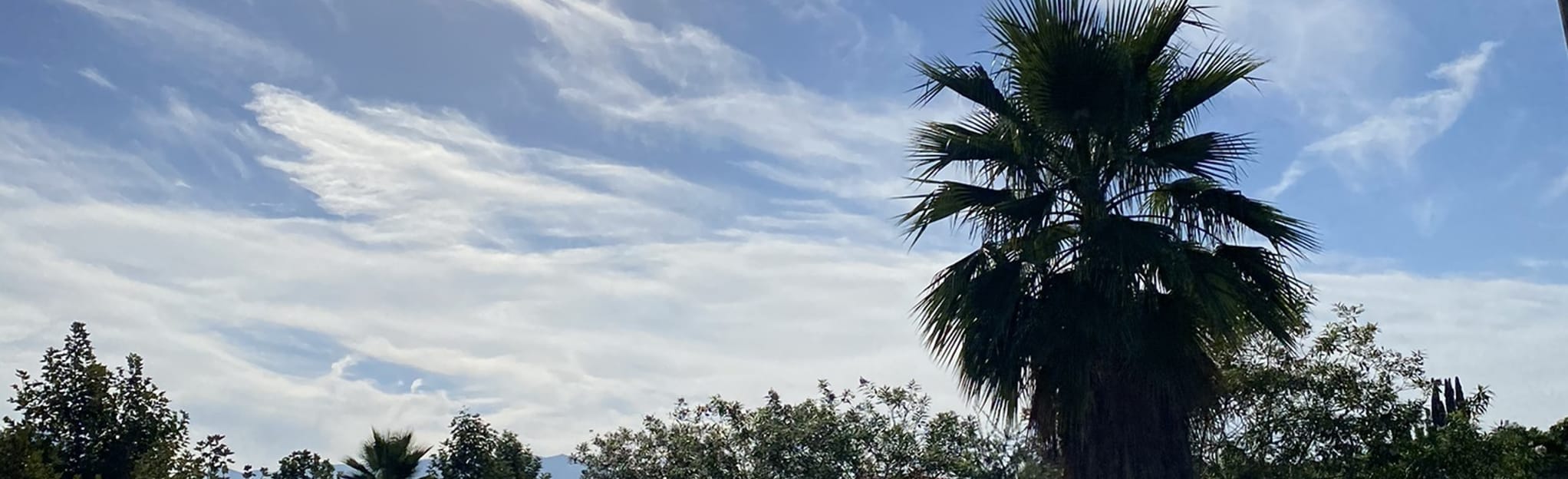 Orange Blossom Trail: Crafton Park to Grove Street, California - 47 ...