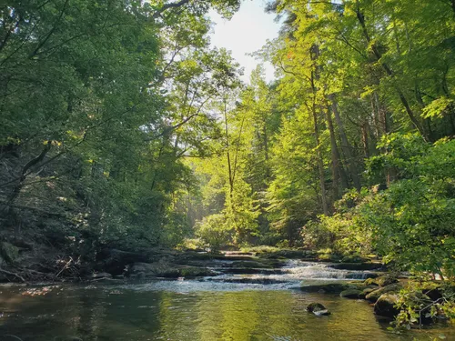 2023 Best 10 Trail Running Trails in Cherokee National Forest | AllTrails