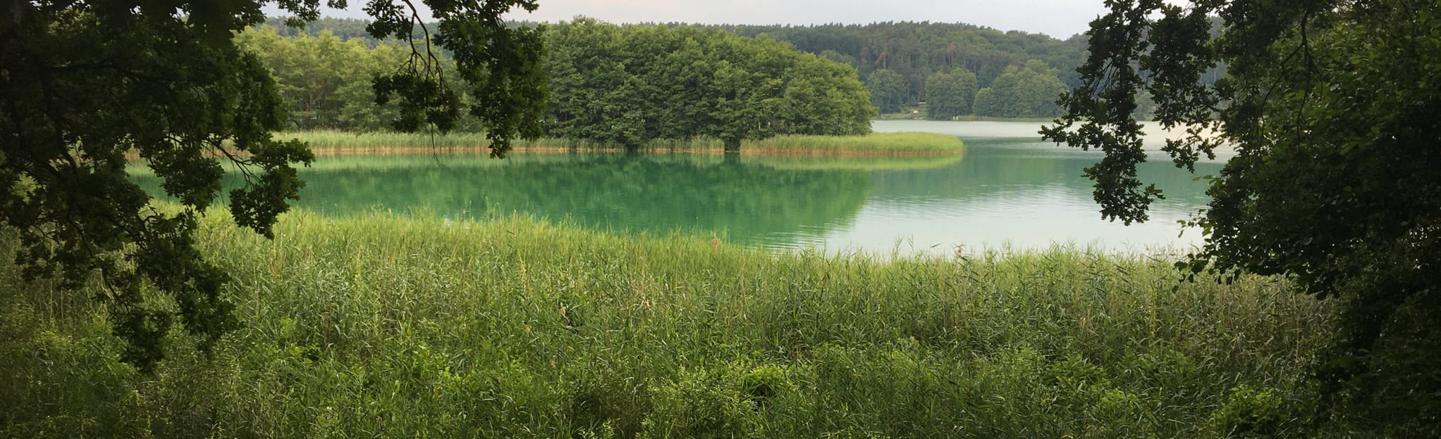 Buckow train station - Schermützelsee: 26 Reviews, Map - Brandenburg ...