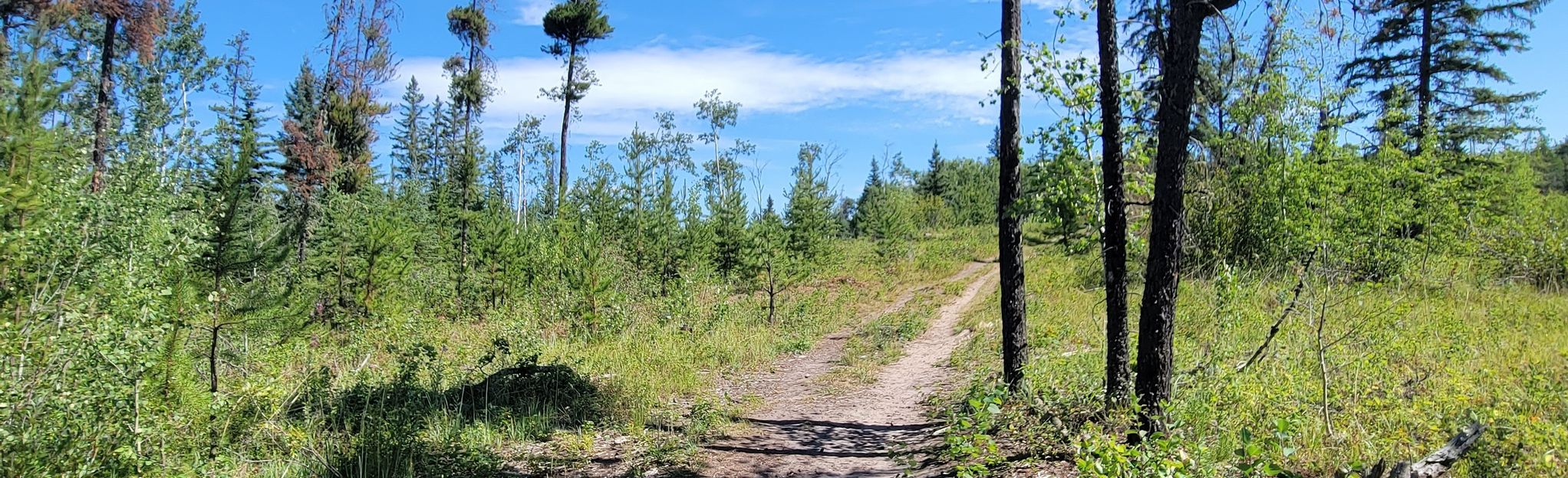 Evergreen Trail Loop | Map, Guide - Alberta, Canada | AllTrails