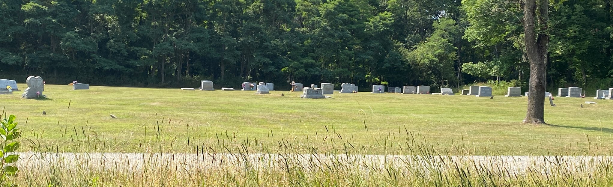 Appalachian Trail to Tanner Ridge Road - Virginia | AllTrails