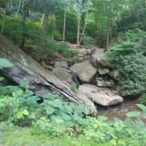 Roaring Run Trail, Pennsylvania - 479 Reviews, Map | AllTrails