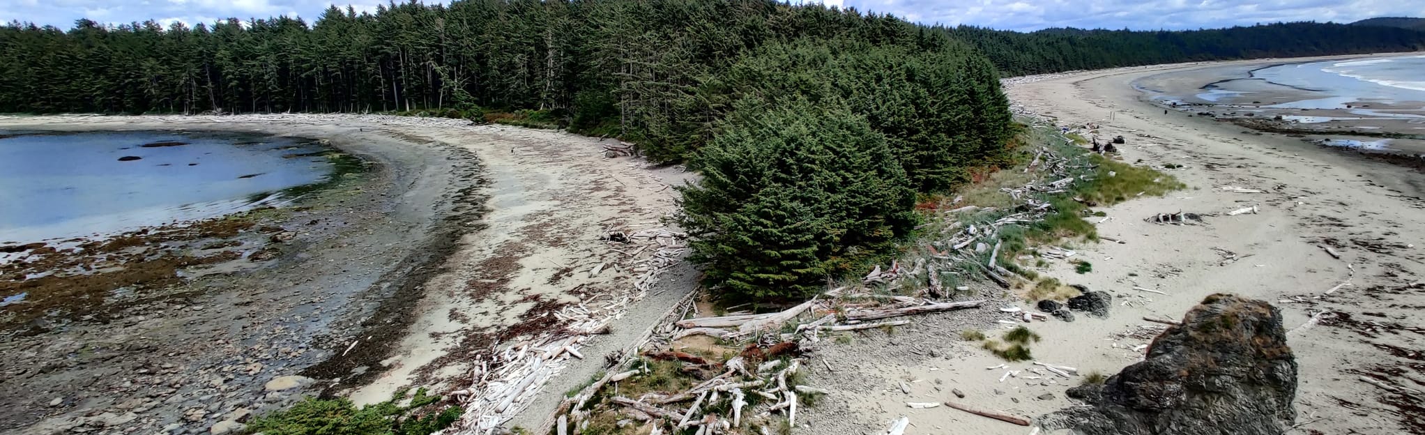 Sand Point Trail, Washington - 260 Reviews, Map | AllTrails