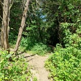 Woodway Trail, Texas - 232 Reviews, Map | AllTrails