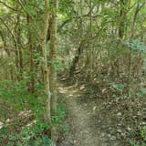 Woodway Trail, Texas - 232 Reviews, Map | AllTrails