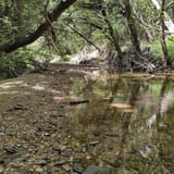 Woodway Trail, Texas - 232 Reviews, Map | AllTrails