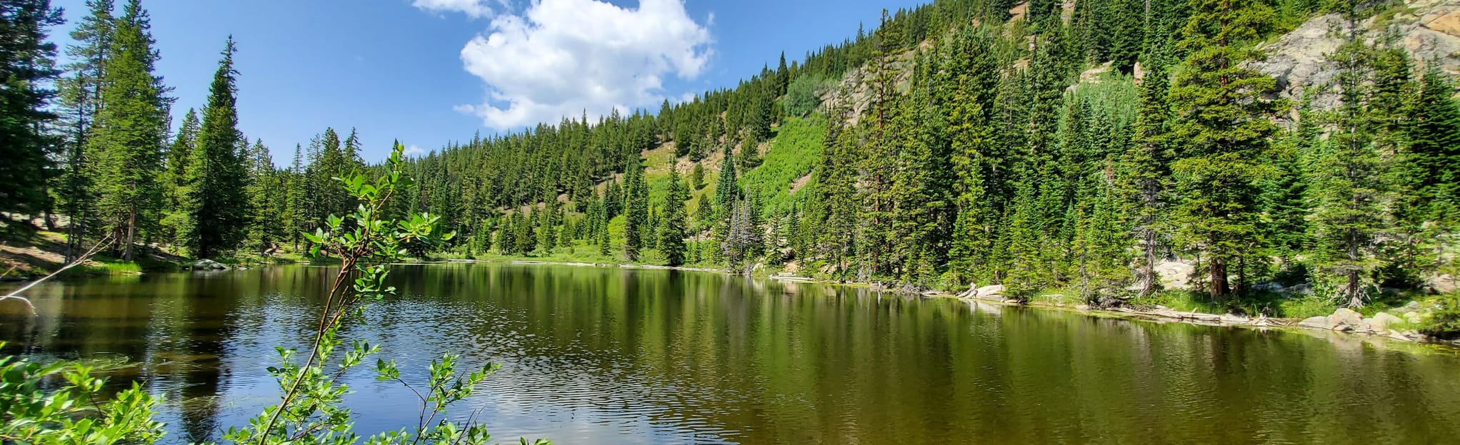 Bear Lake via Colorado Trail, Colorado - 186 Reviews, Map | AllTrails