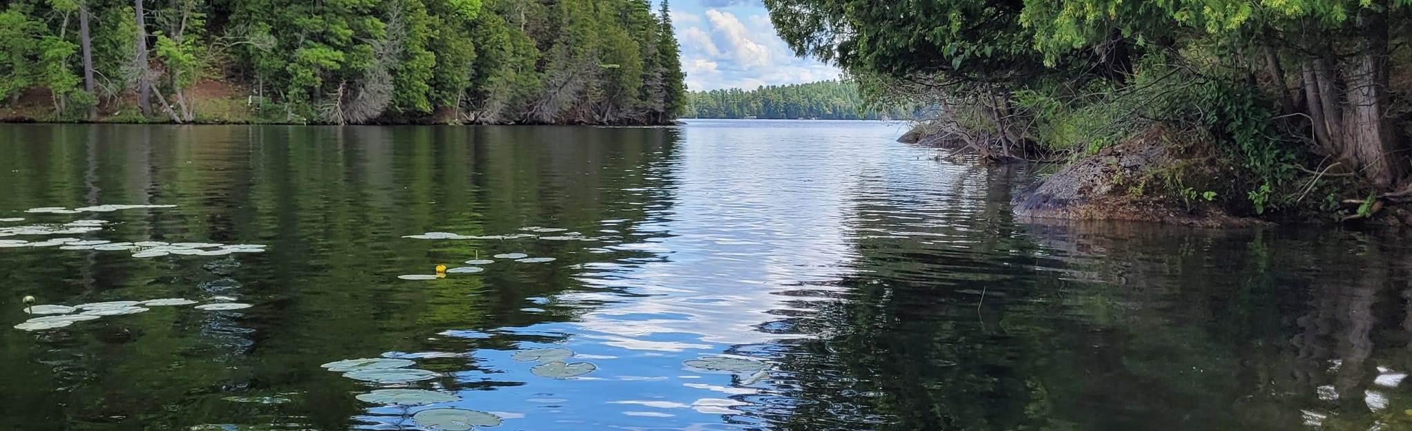 Charleston Lake Paddle: 5 Reviews, Map - Ontario, Canada | AllTrails