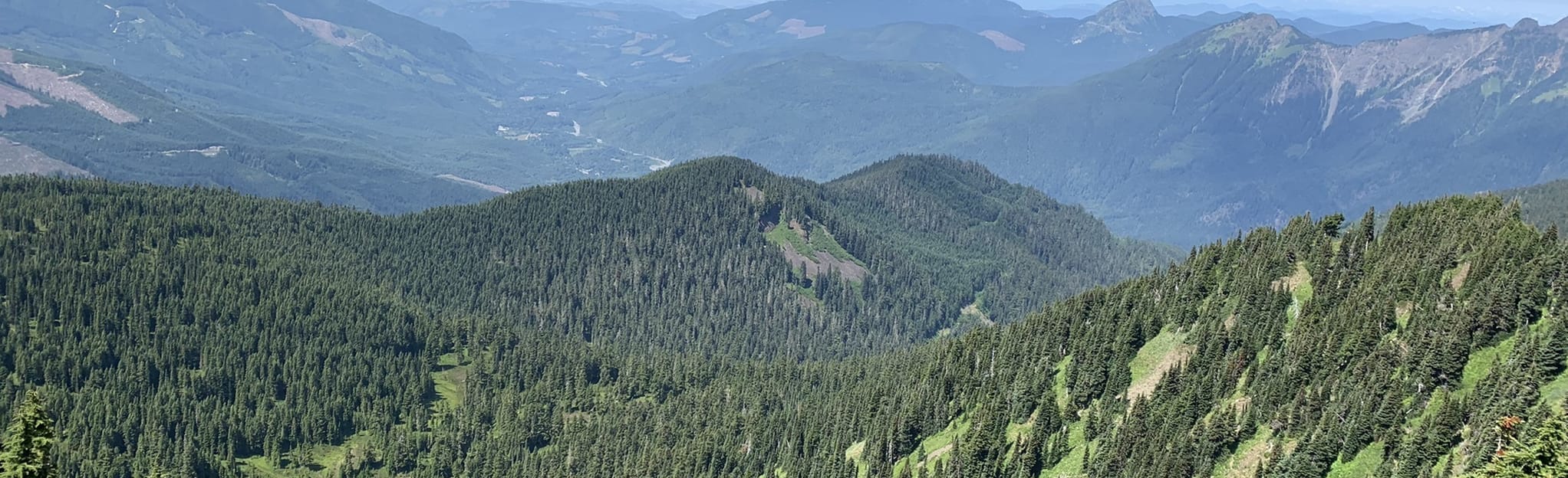 Skyline Divide Trail: 748 Reviews, Map - Washington | AllTrails