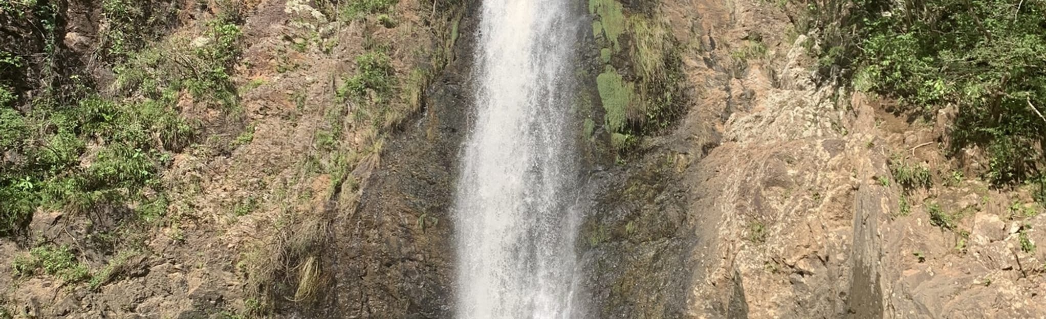 Cascada El Cora: 10 fotos - Nayarit, México | AllTrails