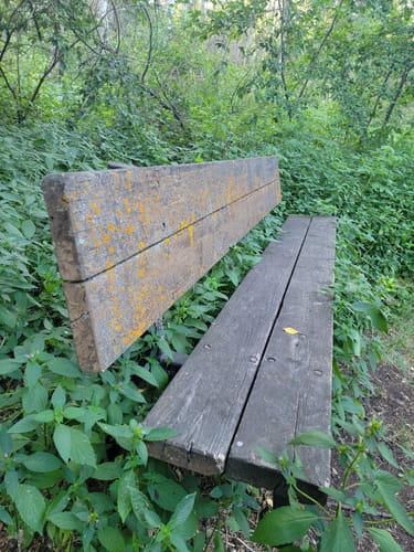 Best Hikes and Trails in Hasse Lake Park | AllTrails