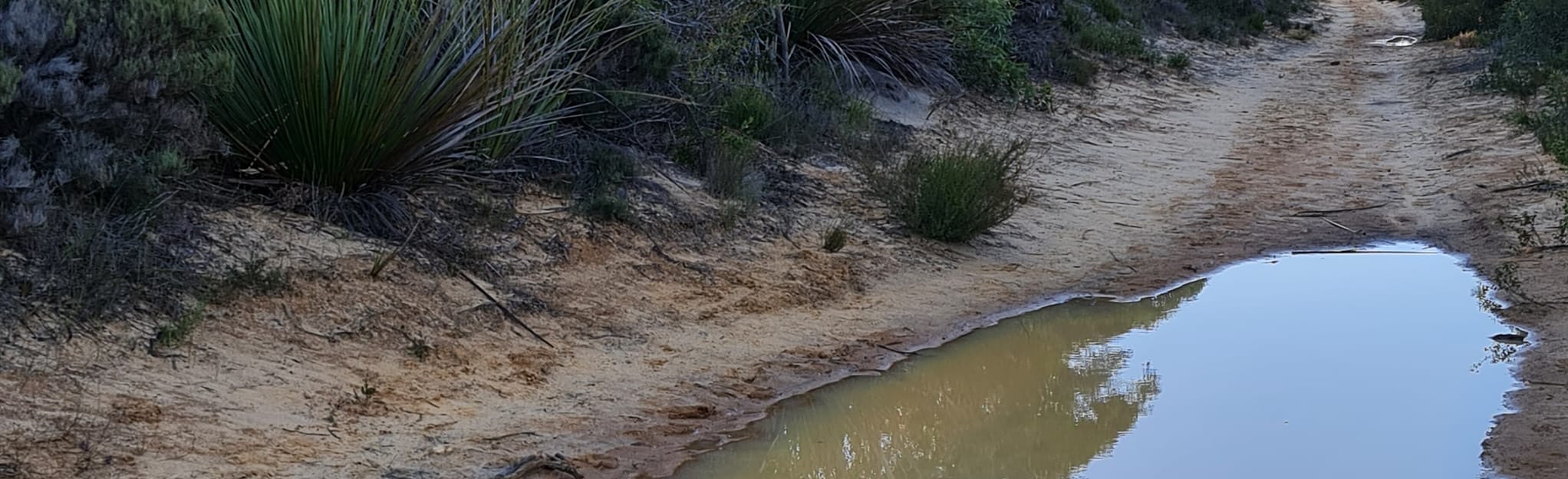 Heysen Trail via Waitpinga Campground - South Australia, Australia ...