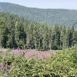 Mount Kit Carson Loop Road, Trail 140 and Trail 110 Loop, Washington ...