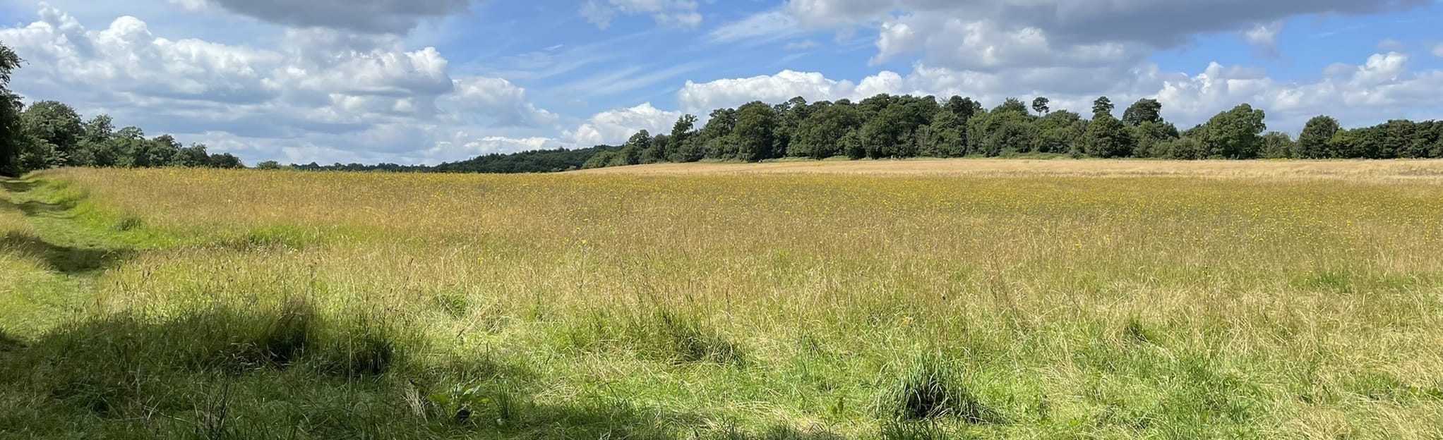 High Elms County Park Circular: 35 foto - London, Inghilterra | AllTrails