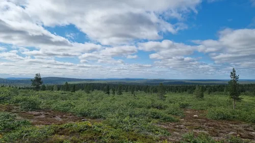 2023 Best 10 Forest Trails in Urho Kekkonen National Park | AllTrails