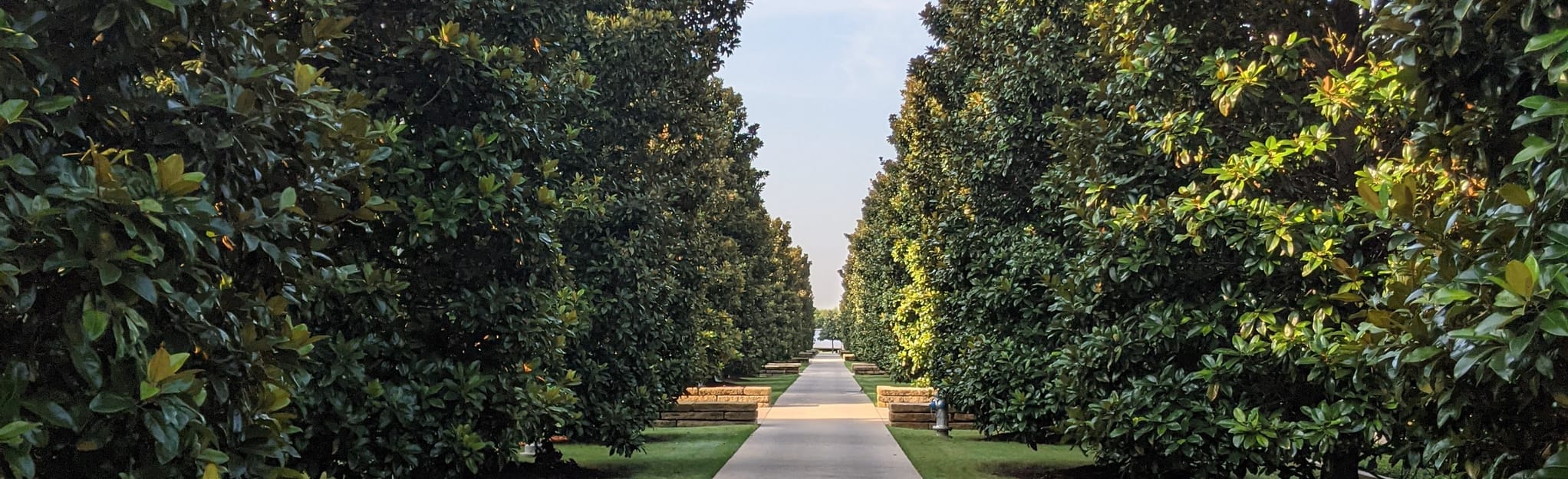 UTD University Trail , Texas - 74 Reviews, Map | AllTrails