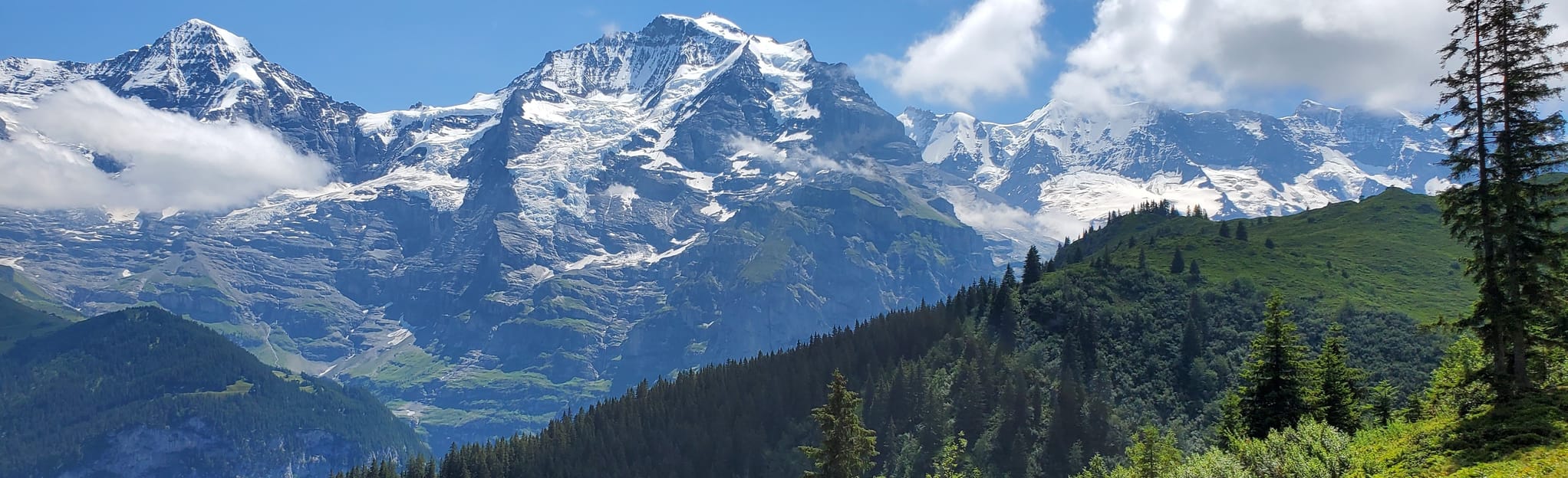 Allmendhubel - Grütschalp: 122 Reviews, Map - Bern, Switzerland | AllTrails