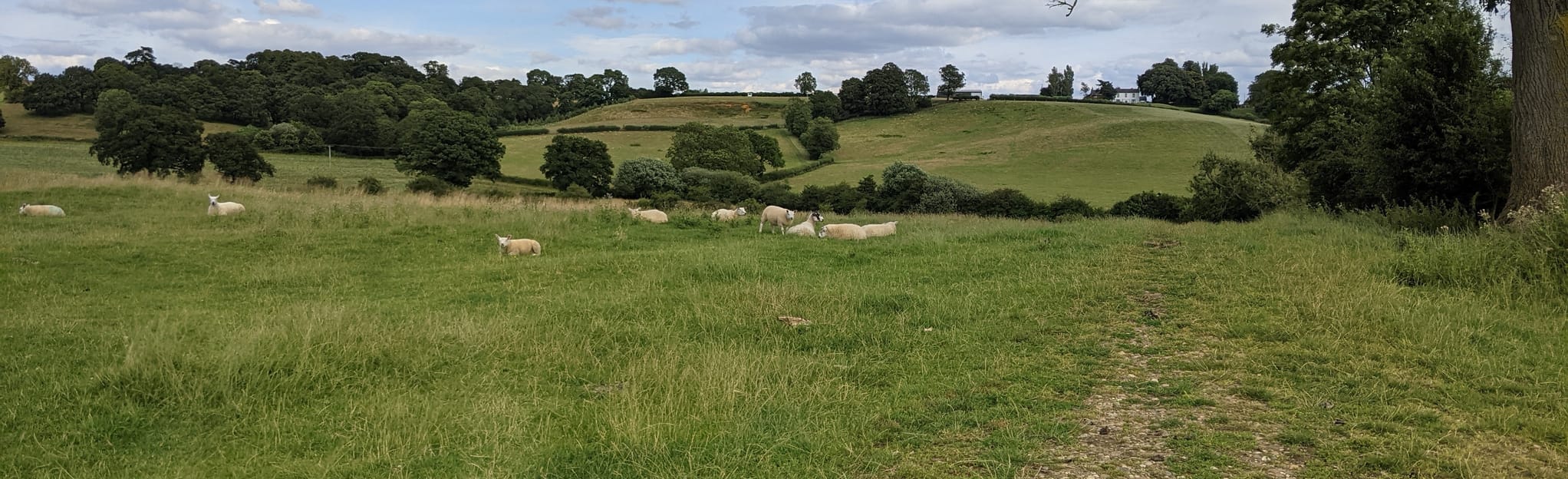 West Haddon and Pytchley Inn, Northamptonshire, England - 92 Reviews ...