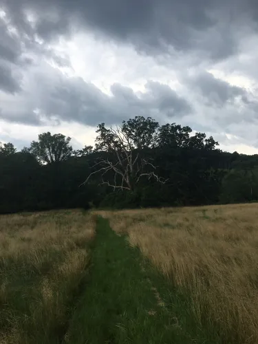 Best Hikes and Trails in Pikes Bridge Road Conservation Area | AllTrails