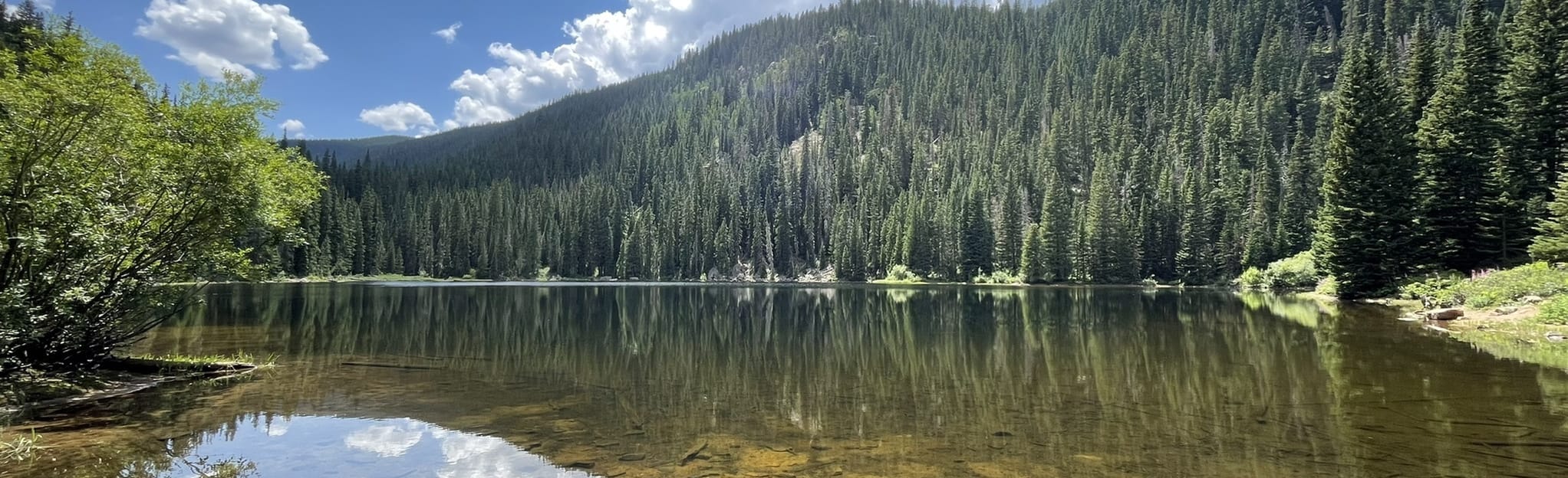 Turquoise Lakes Trail, Colorado - 256 Reviews, Map | AllTrails