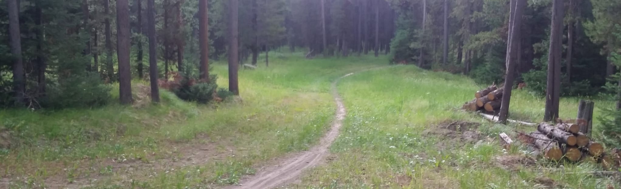 Rendezvous Loop: 71 Reviews, Map - Montana | AllTrails