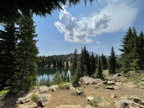 10 Best Hikes and Trails in Three Sisters Wilderness | AllTrails