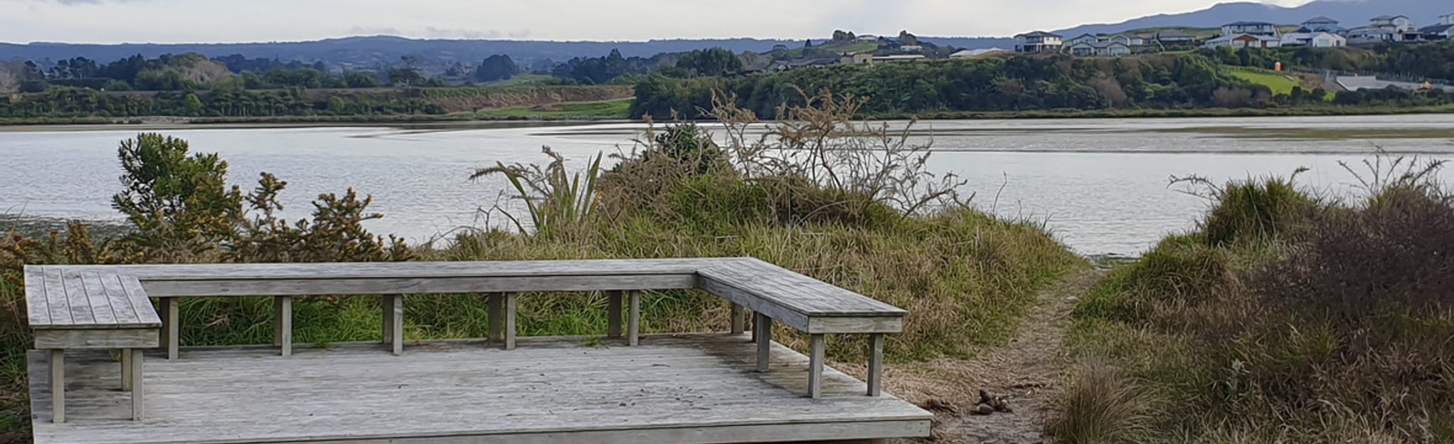 Plummers Point Loop: 27 Reviews, Map - Bay of Plenty, New Zealand ...