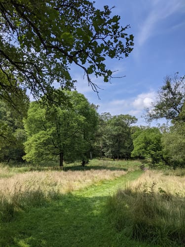 Best Hikes and Trails in Springbrook State Park | AllTrails