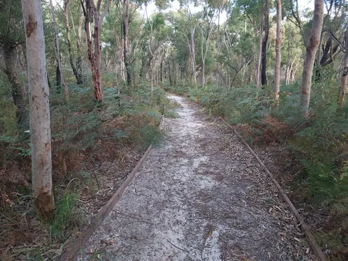 Best Walking Trails in Worimi Regional park | AllTrails