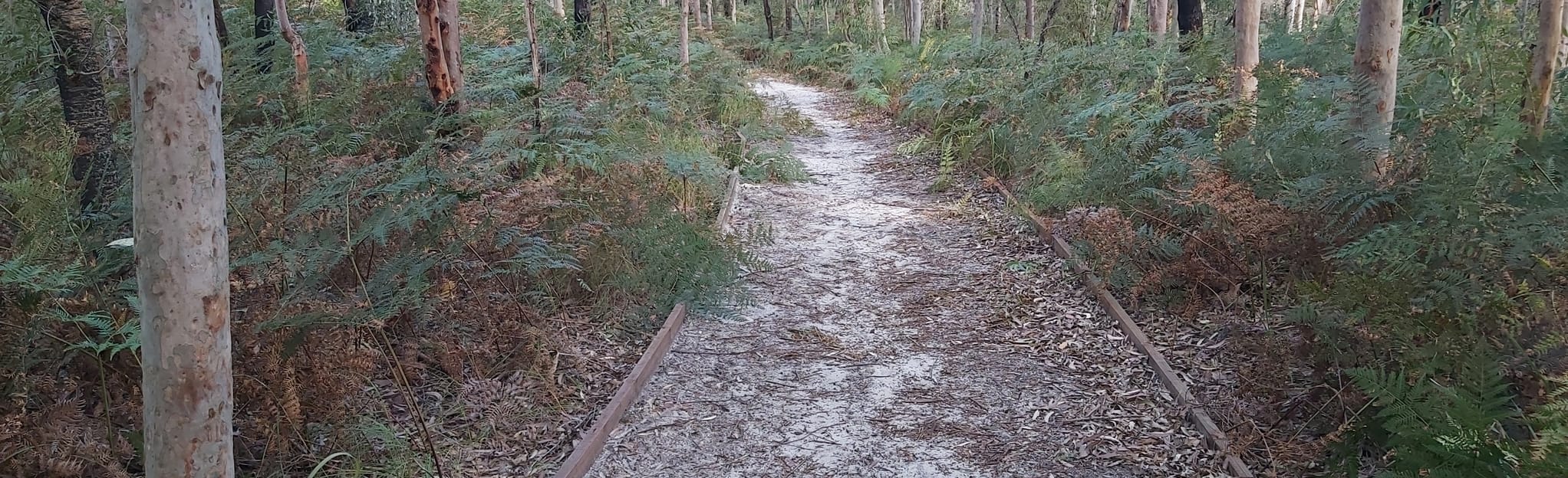 Worimi Forest Trail: 30 Reviews, Map - New South Wales, Australia ...