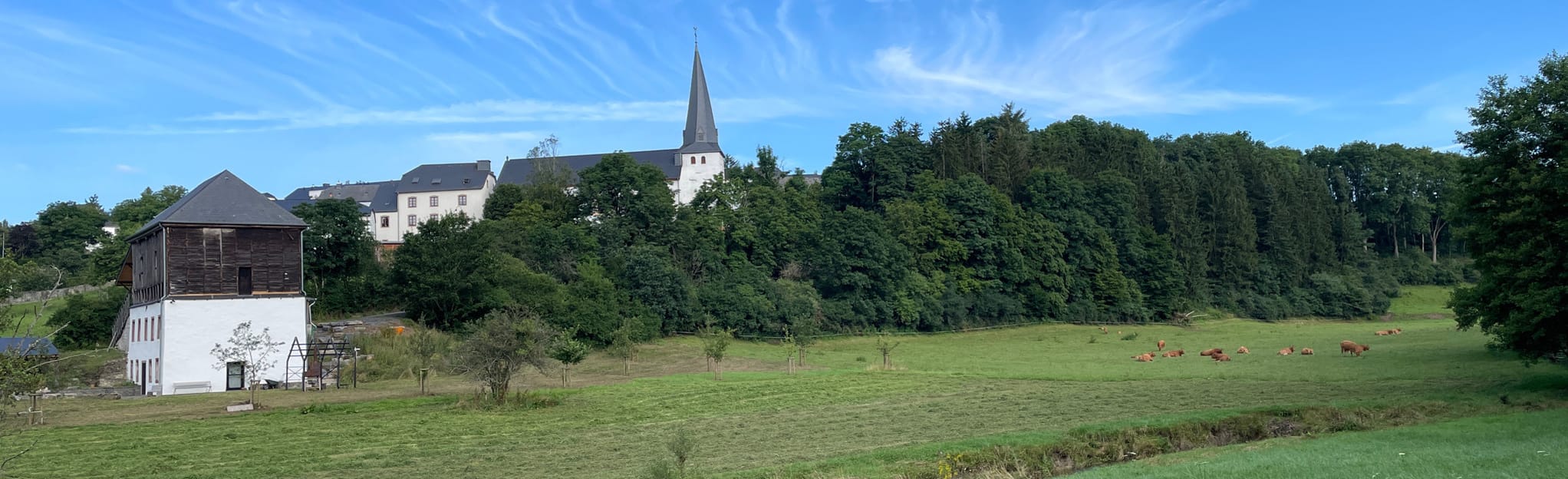 Pintsch - Fluss und Wald - Wiltz, Luxembourg | AllTrails
