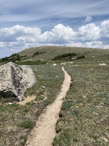 Best River Trails in Red Feather Lakes | AllTrails