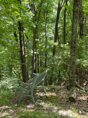 Best Hikes and Trails in Bluefield City Park | AllTrails