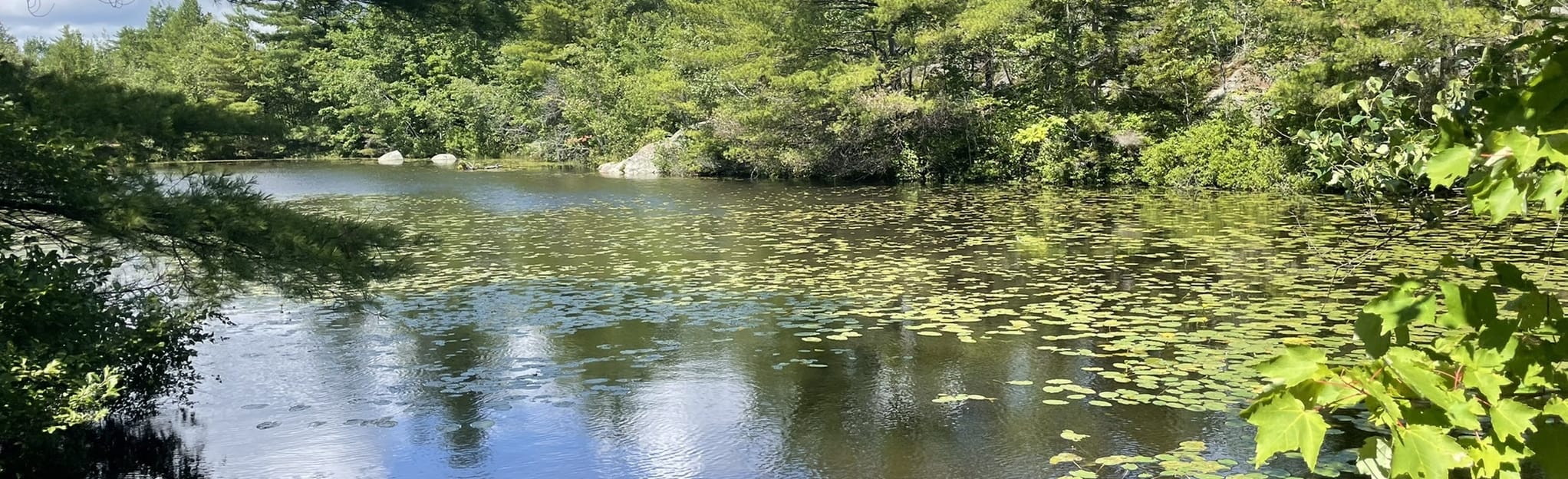Blue Job Mountain Loop - New Hampshire | AllTrails