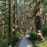 Beaver Lake Park Trail, Washington - 238 Reviews, Map | AllTrails