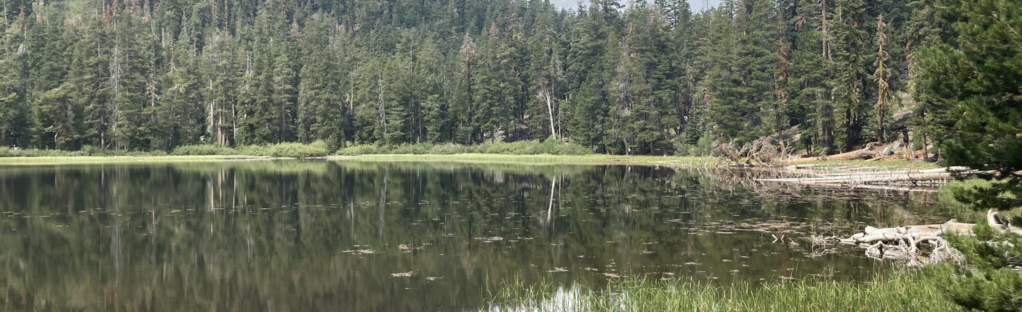 Tahoe Rim to Watson Lake Trail, California - 214 Reviews, Map | AllTrails