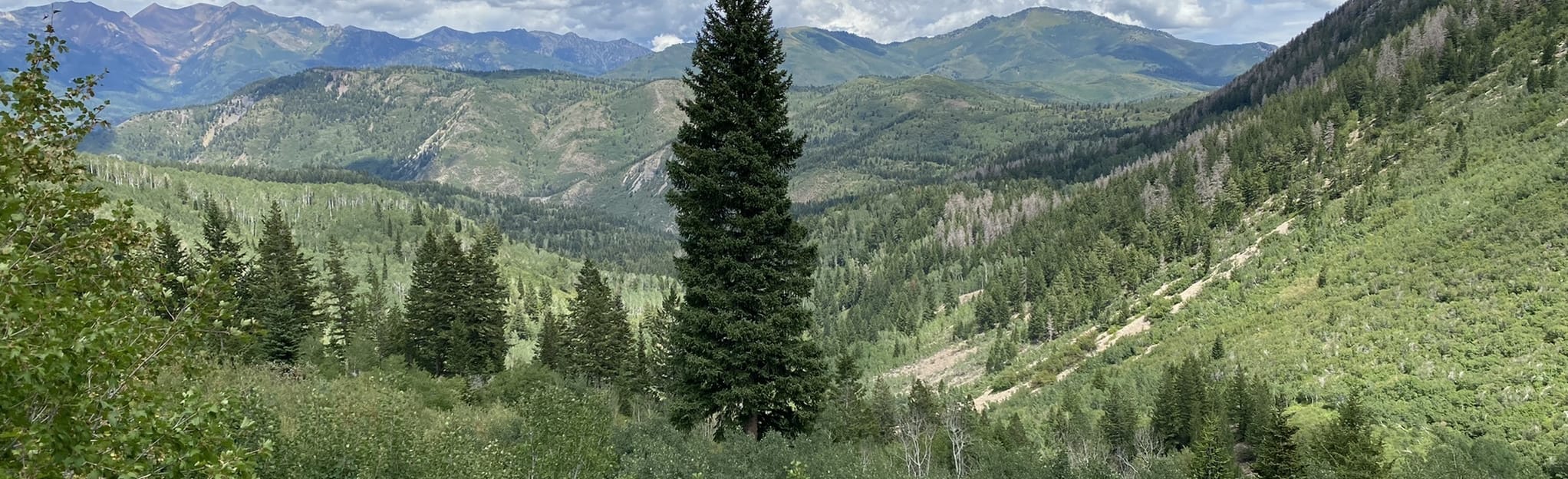 Scout Falls via Mount Timpanogos Trail: 1912 Reviews, Map - Utah ...