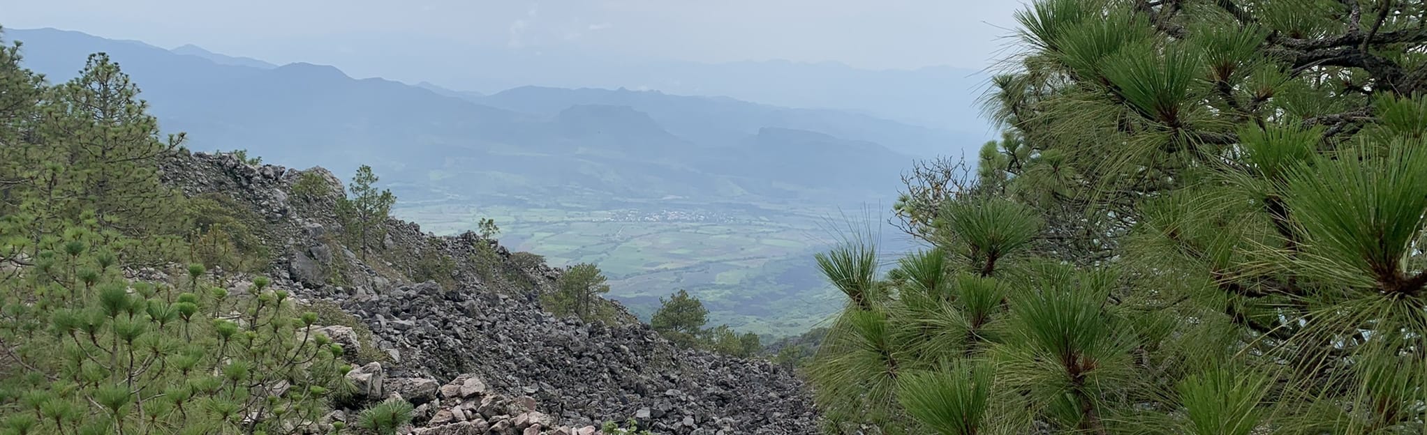 Volcan Ceboruco Norte, Nayarit, Mexico - 8 Reviews, Map | AllTrails