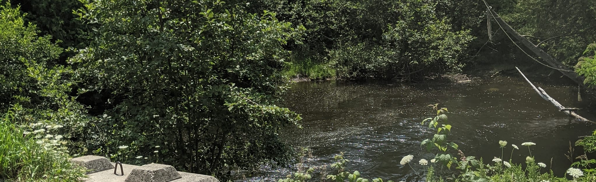 Victoria Rail Trail: Bethany - Franklin, Ontario, Canada - 12 Reviews ...