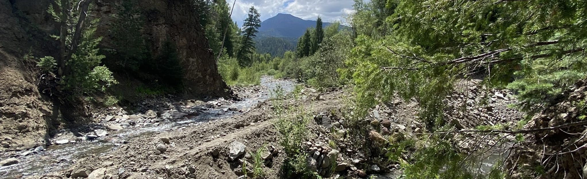 Blanco River Trail #573, Colorado - 41 Reviews, Map | AllTrails