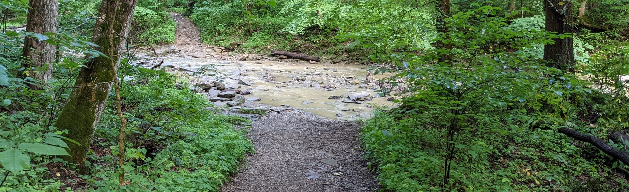 Geology, Wildflower and Upland Trail Loop | Map, Guide - Ohio | AllTrails