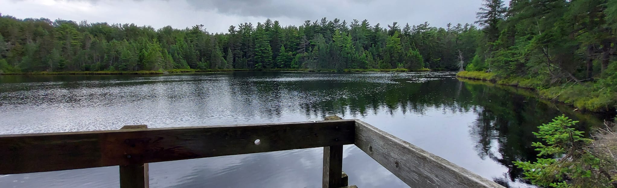 Johnville Ecoforest Loop: 154 Reviews, Map - Quebec, Canada | AllTrails