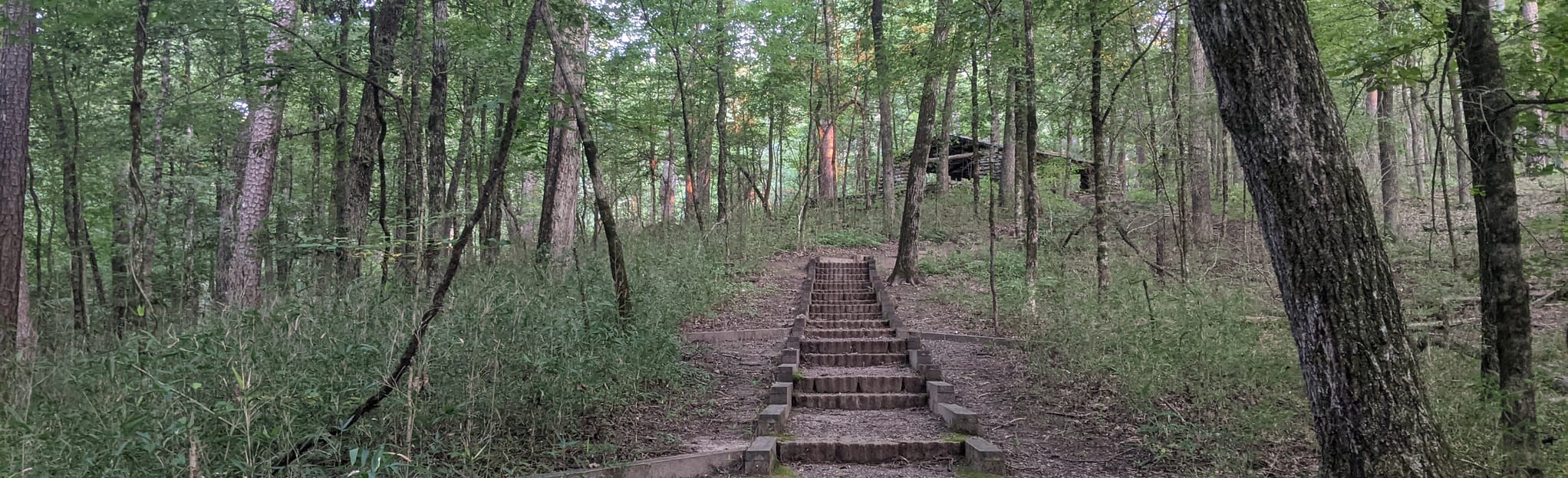 Caddo Lake State Park Pine Ridge and Caddo Forest Loop, Texas - 391 ...
