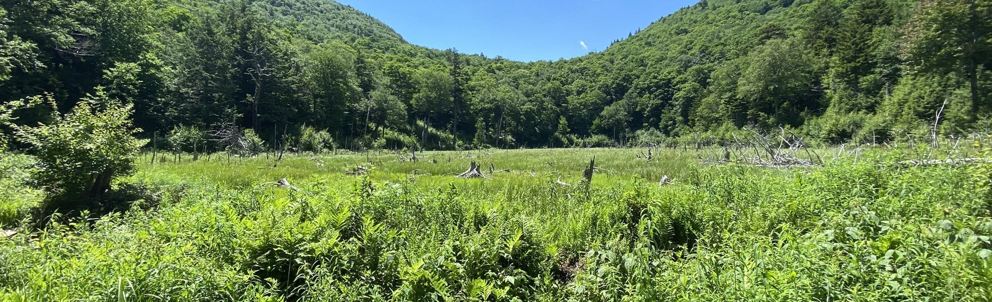 Twin Mountain and Sugarloaf Mountain Loop Trail, New York - 223 Reviews ...