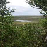 Berry Hill Trail, Newfoundland and Labrador, Canada - 124 Reviews, Map ...